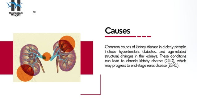 Kidney Disease In Elderly People | PDF