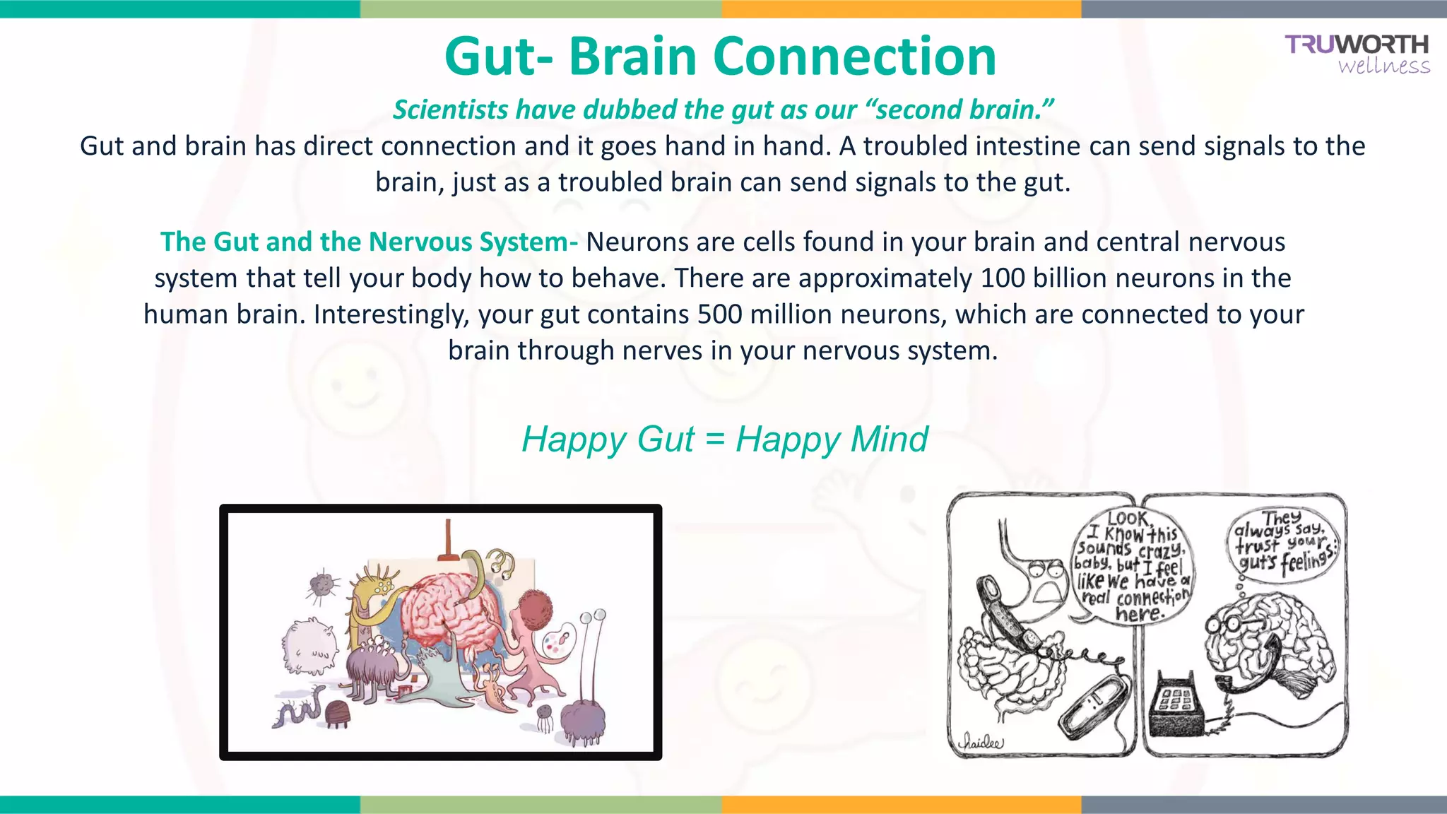 Improve Gut Health | PDF