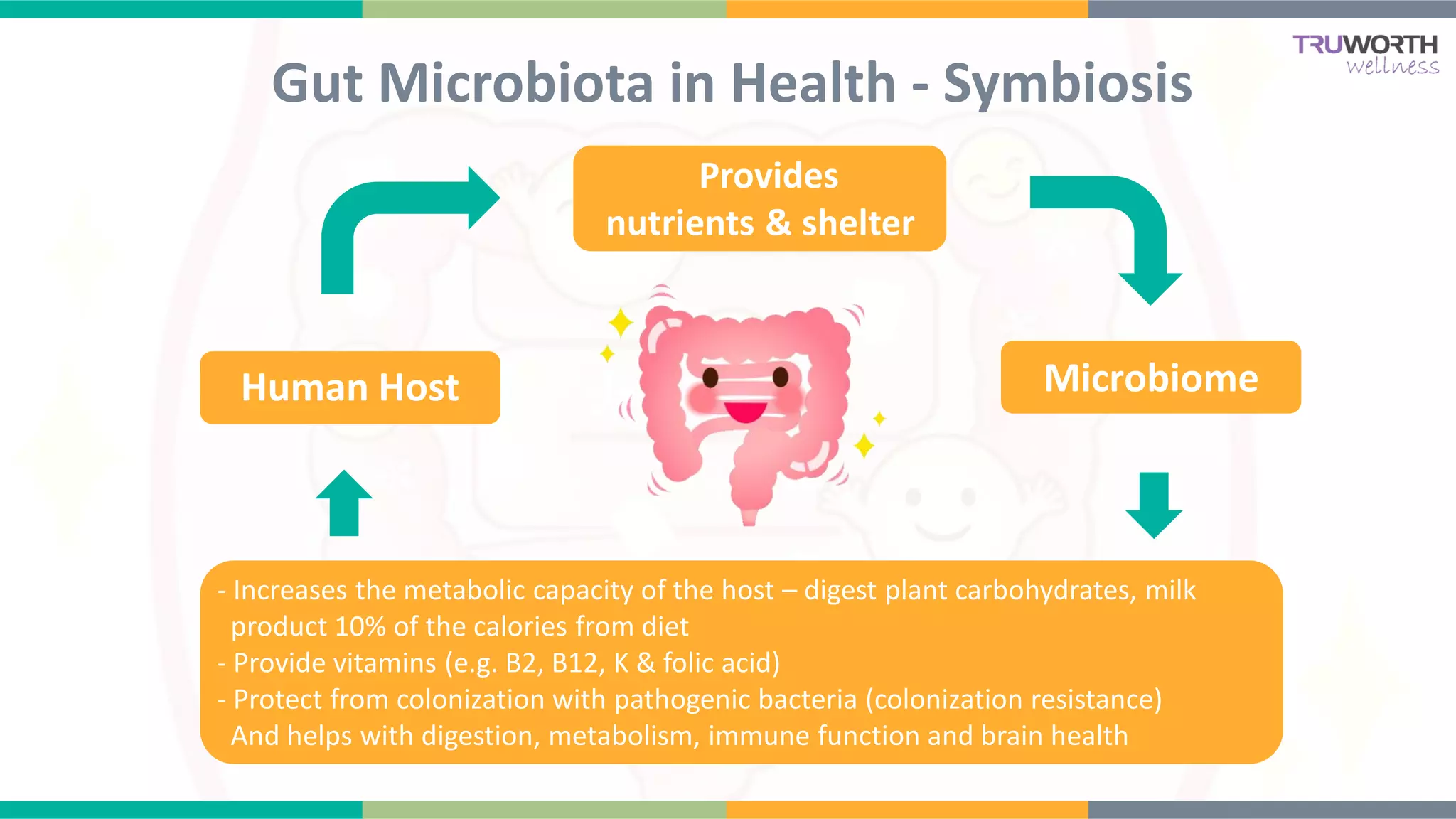 Improve Gut Health | PDF