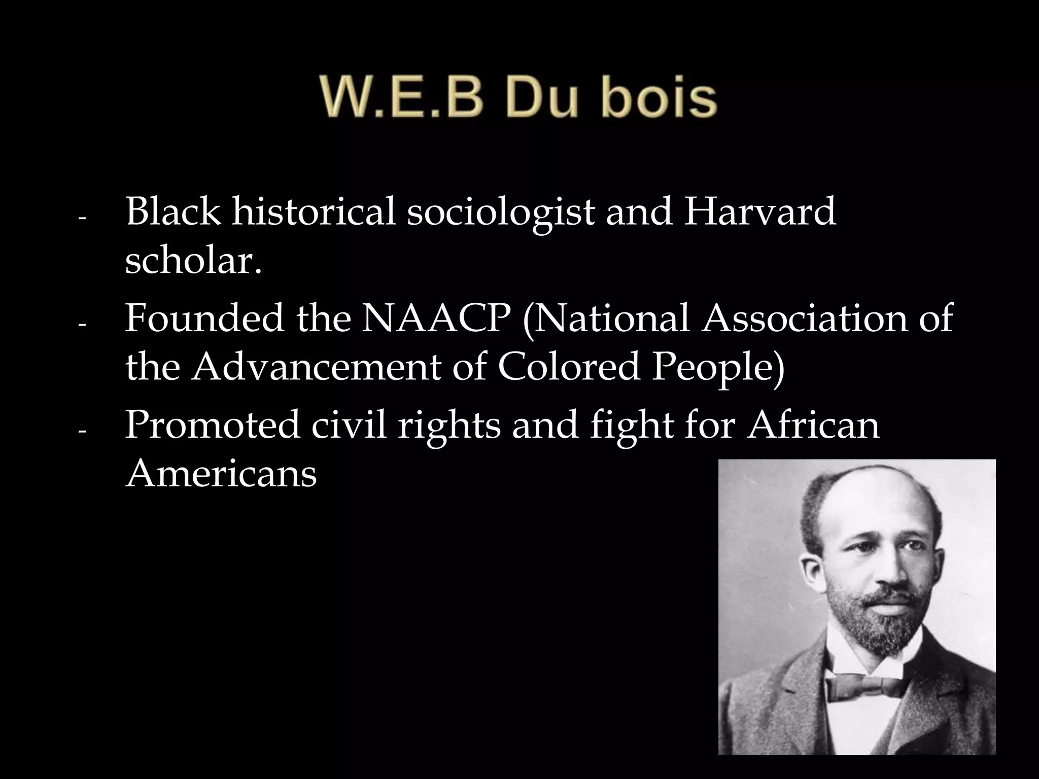 Harlem Renaissance Politics | PPTX