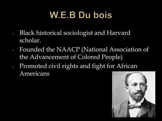 Harlem Renaissance Politics | PPTX