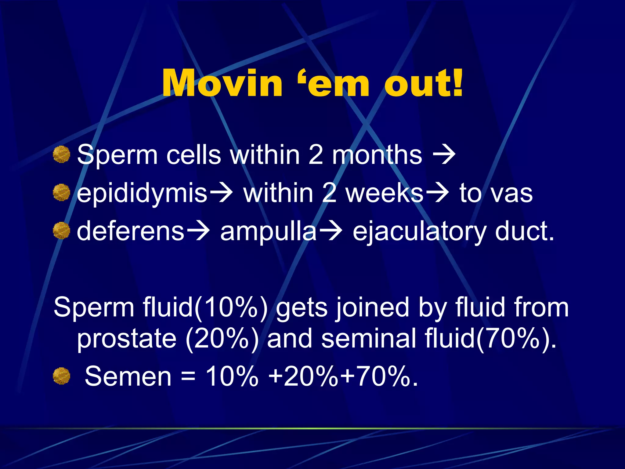 The Harvard Medical School Guide To Men’S Health | PPT