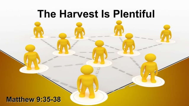 "The Harvest is Plentiful" Sermon by Dr. Pothana | PPTX