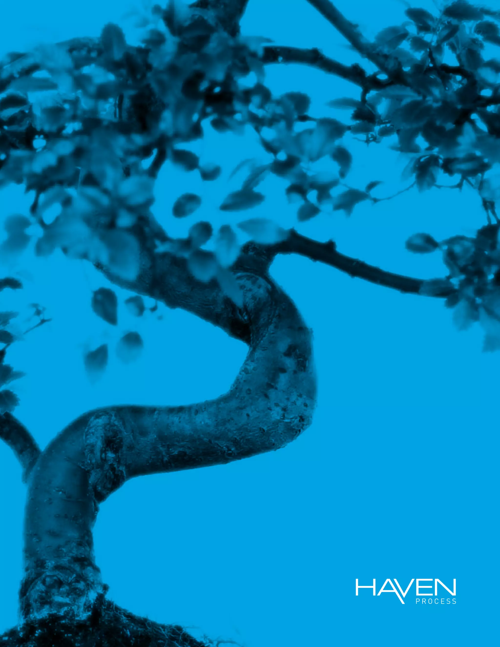 The Haven Process | PDF