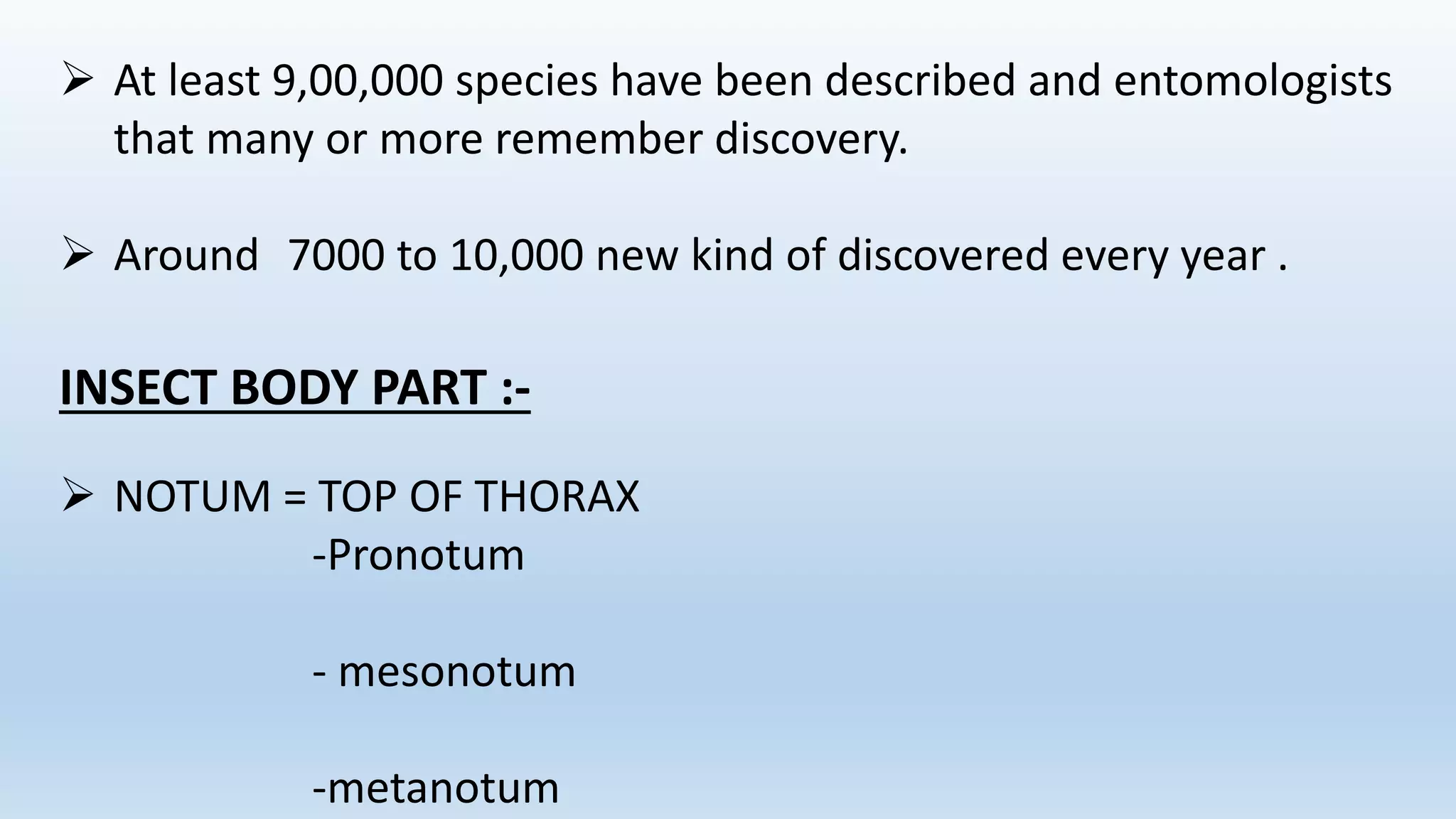 The Insect Head | PPTX
