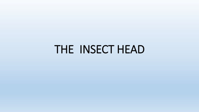 The Insect Head | PPTX