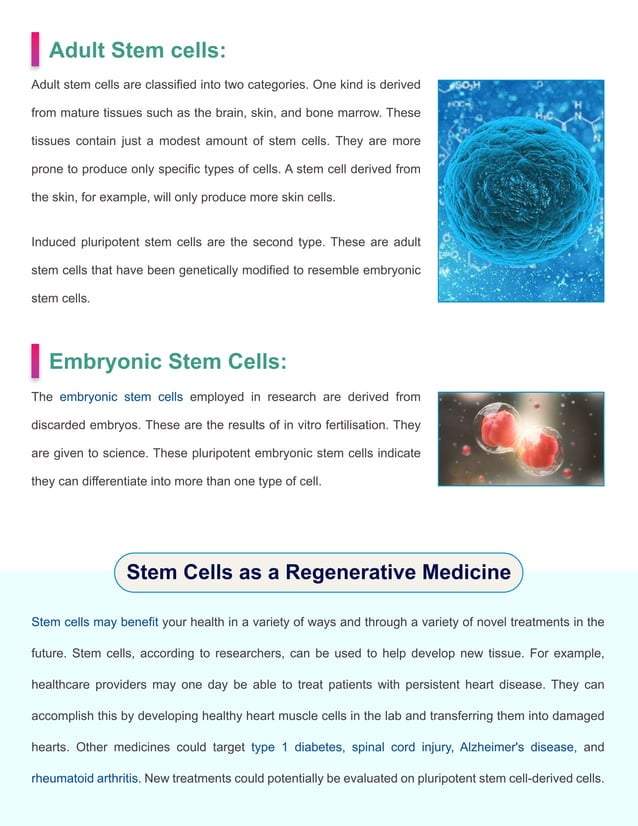 The Healing Potential of Stem Cells.pdf