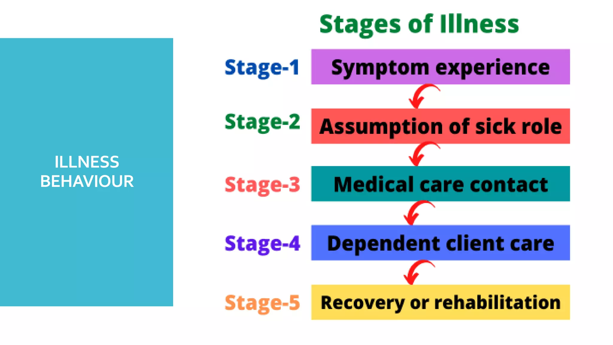 The health illness continuum | PPT