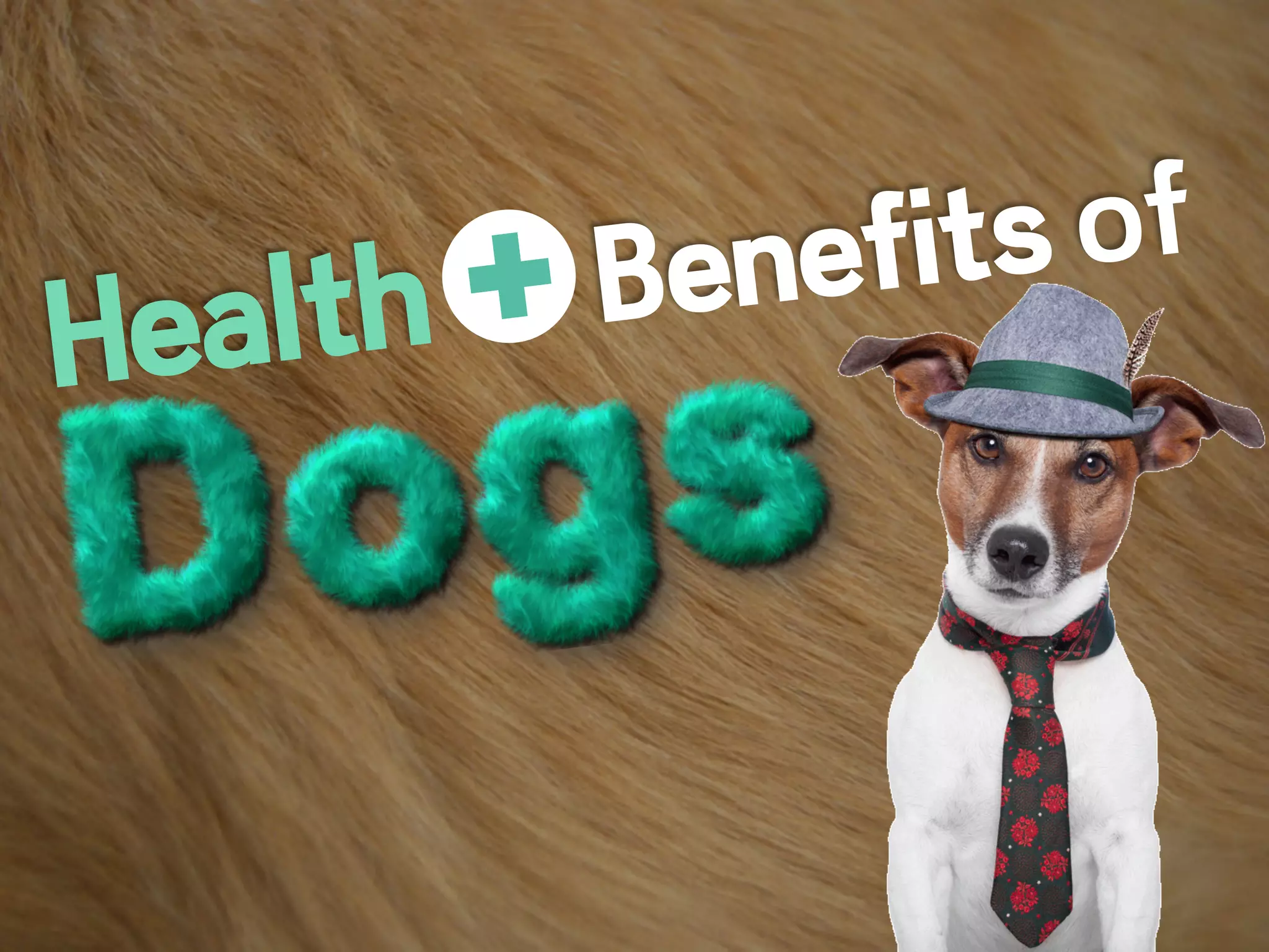 The Health Benefits of Dogs | PDF