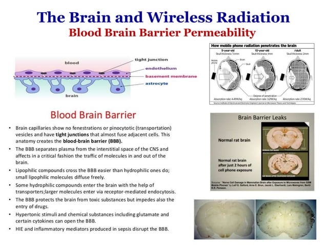 The health dangers of Wi-Fi Radiation | PPTX | Cancer | Diseases and ...