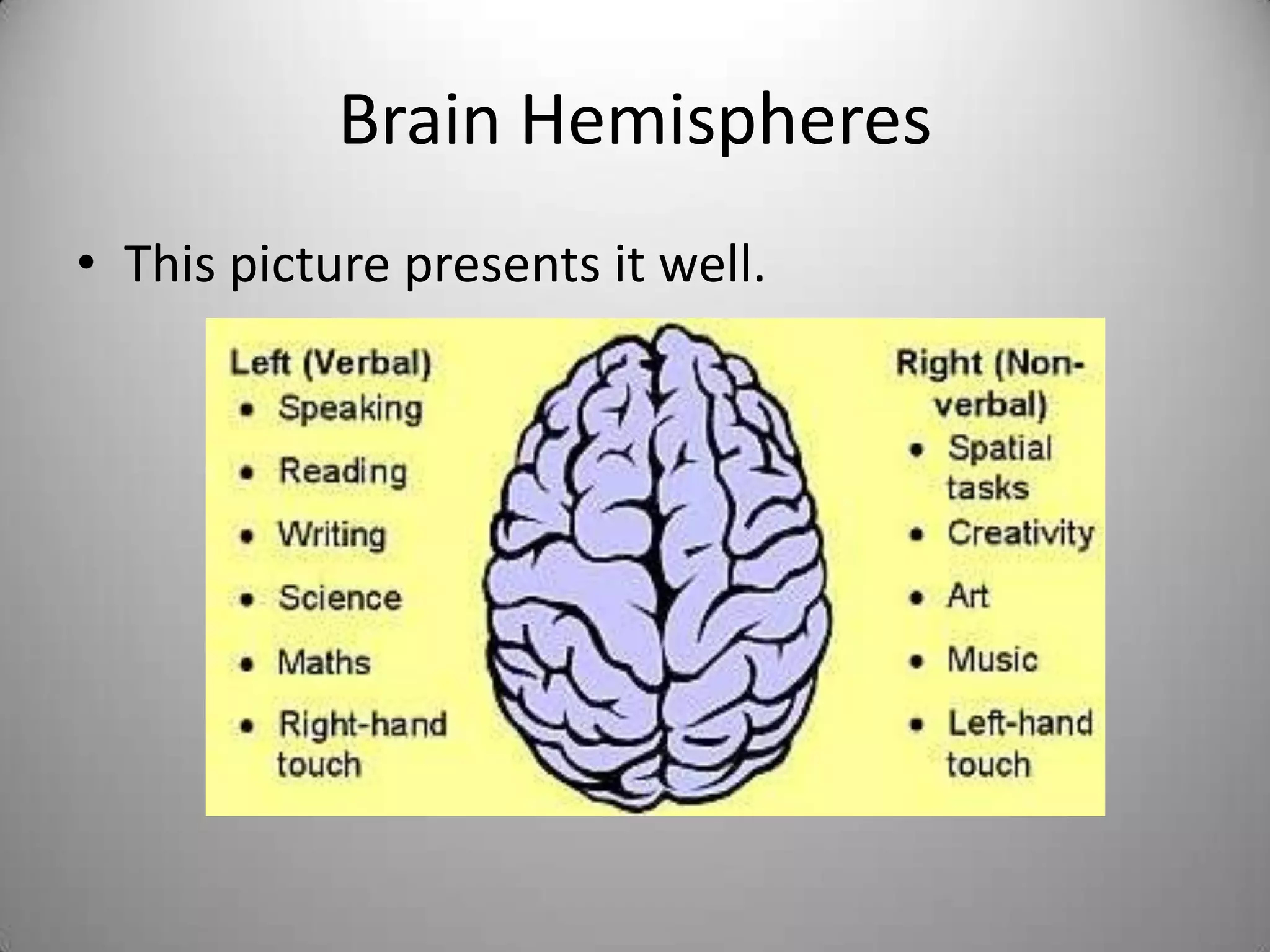 The healthy brain | PPTX