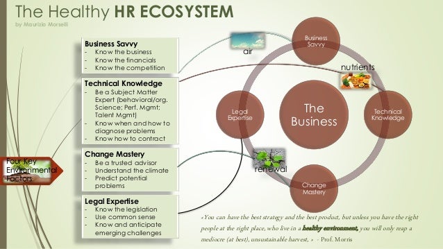 The Healthy HR Ecosystem (in ONE slide!)