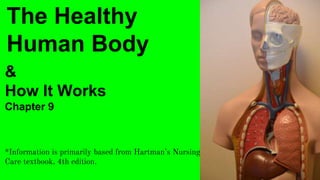 The healthy human body | PPTX