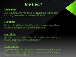 The Heart | PPT