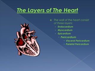 The Heart | PPTX