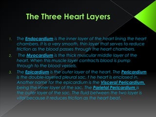 The Heart | PPT