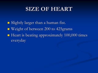 The Heart | PDF