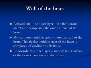 The Heart | PDF