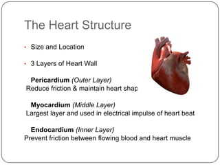 The heart | PPT