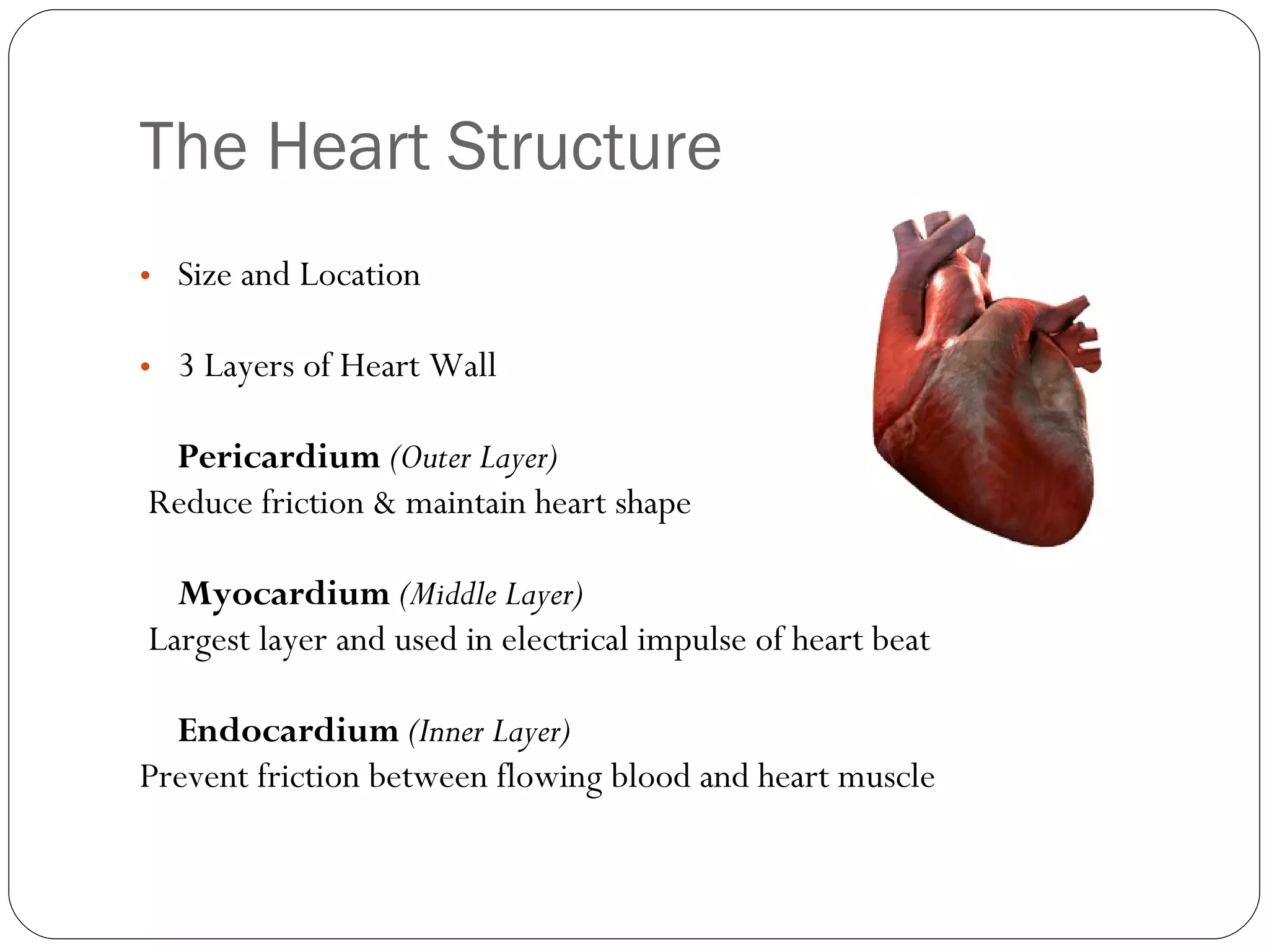 The heart | PPT
