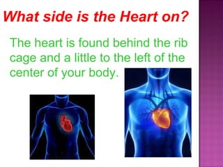 The heart | PPT | Heart and Cardiovascular Diseases | Diseases and ...