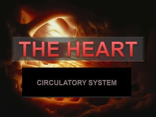 The heart | PPT