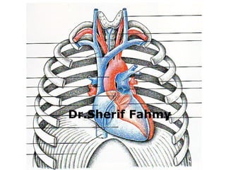 The Heart (Anatomy of the Thorax) | PPS