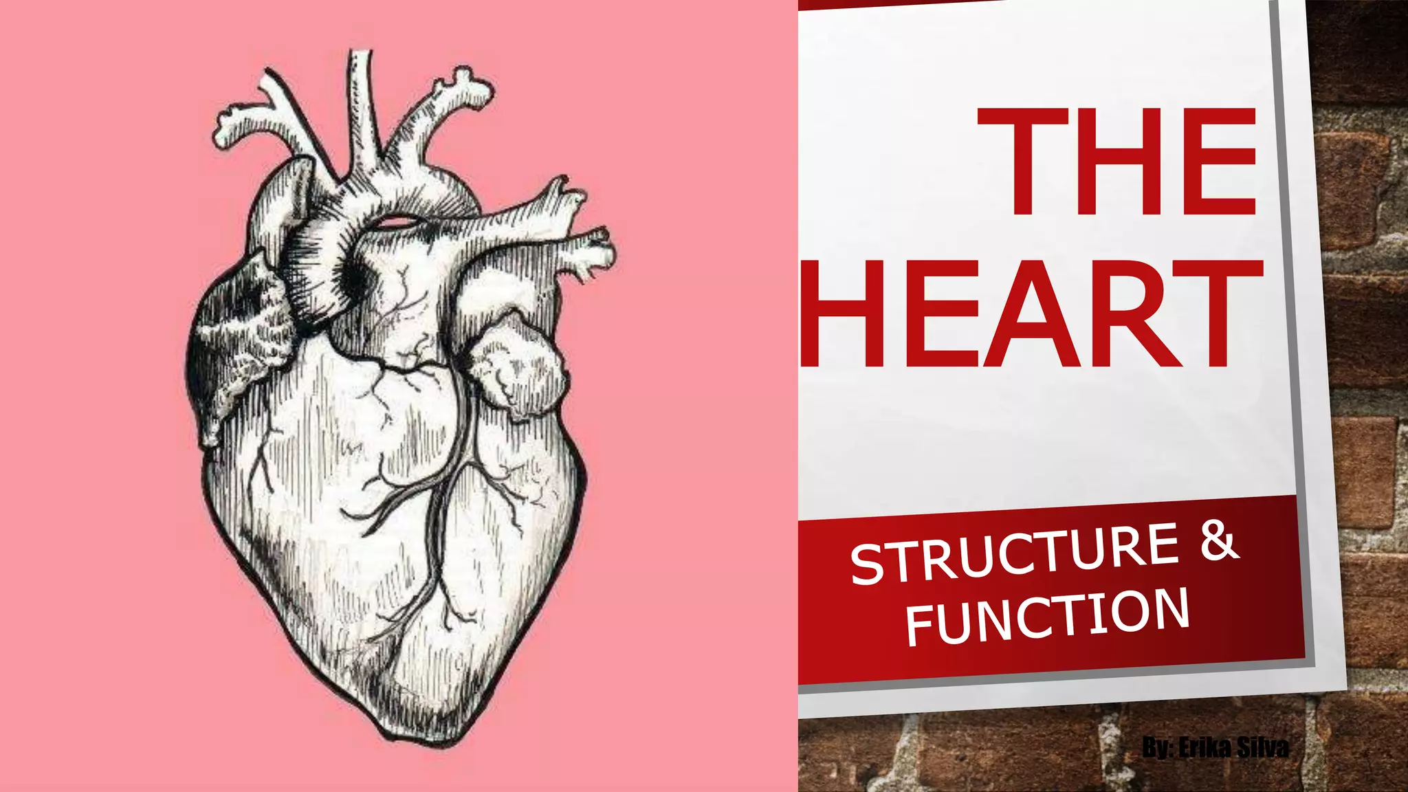 The heart | PPT