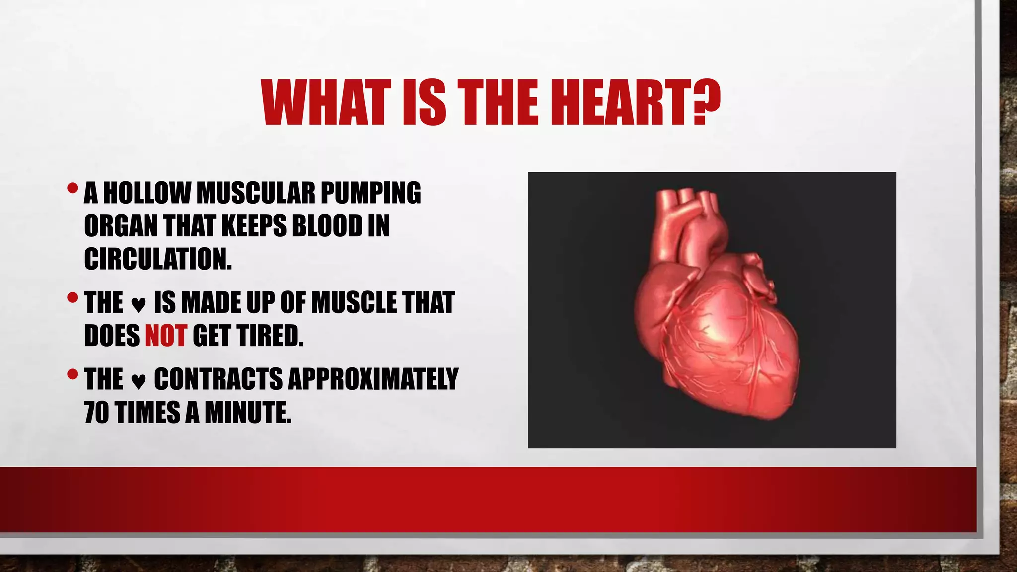 The heart | PPT