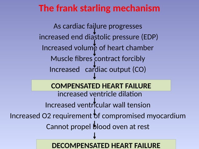 THE HEART function and its physiological pathway | PPTX