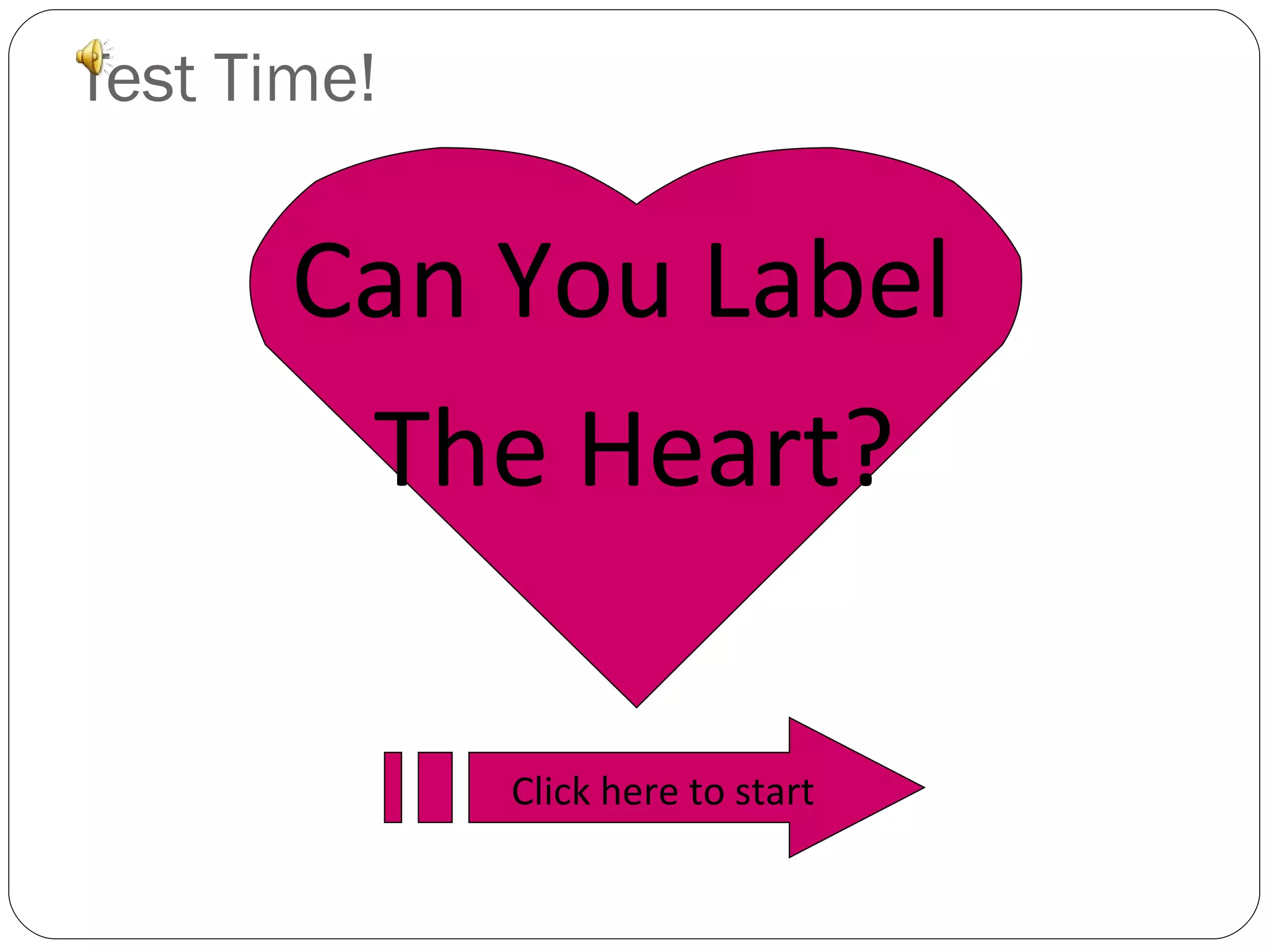 The heart conduction system | PPT