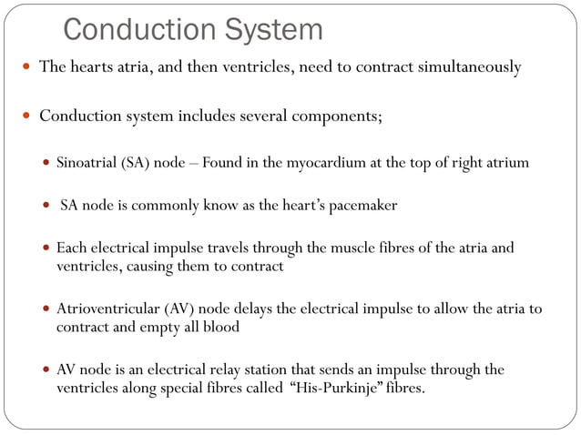 The heart conduction system | PPT
