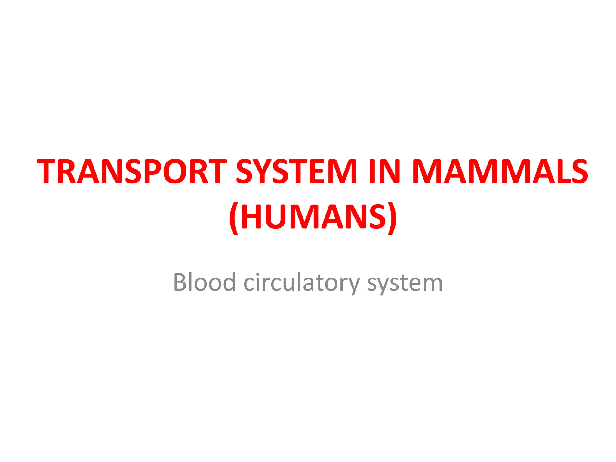 THE HEART - TRANSPORT SYSTEM IN MAMMALS (HUMANS).pdf