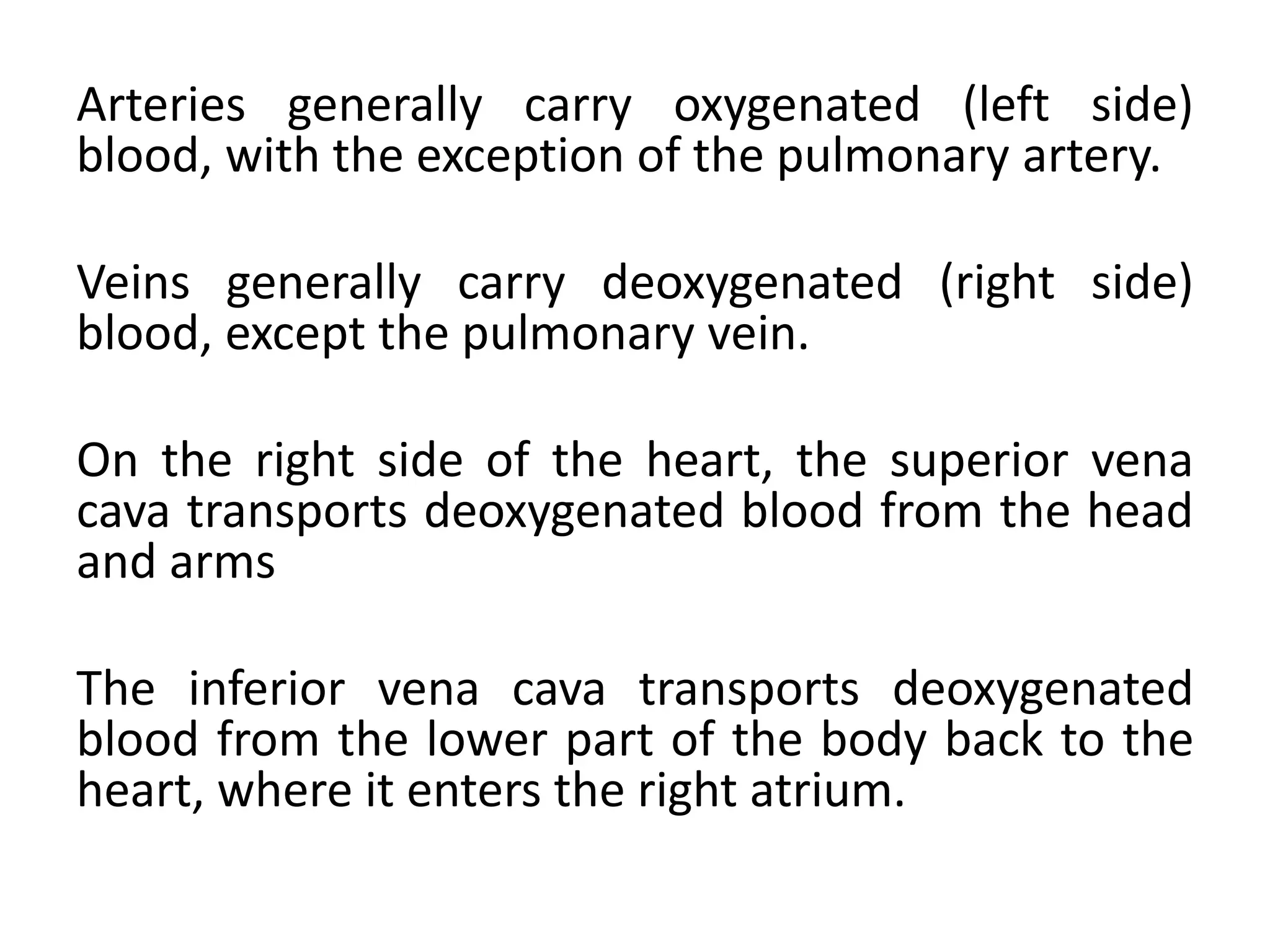 THE HEART - TRANSPORT SYSTEM IN MAMMALS (HUMANS).pdf