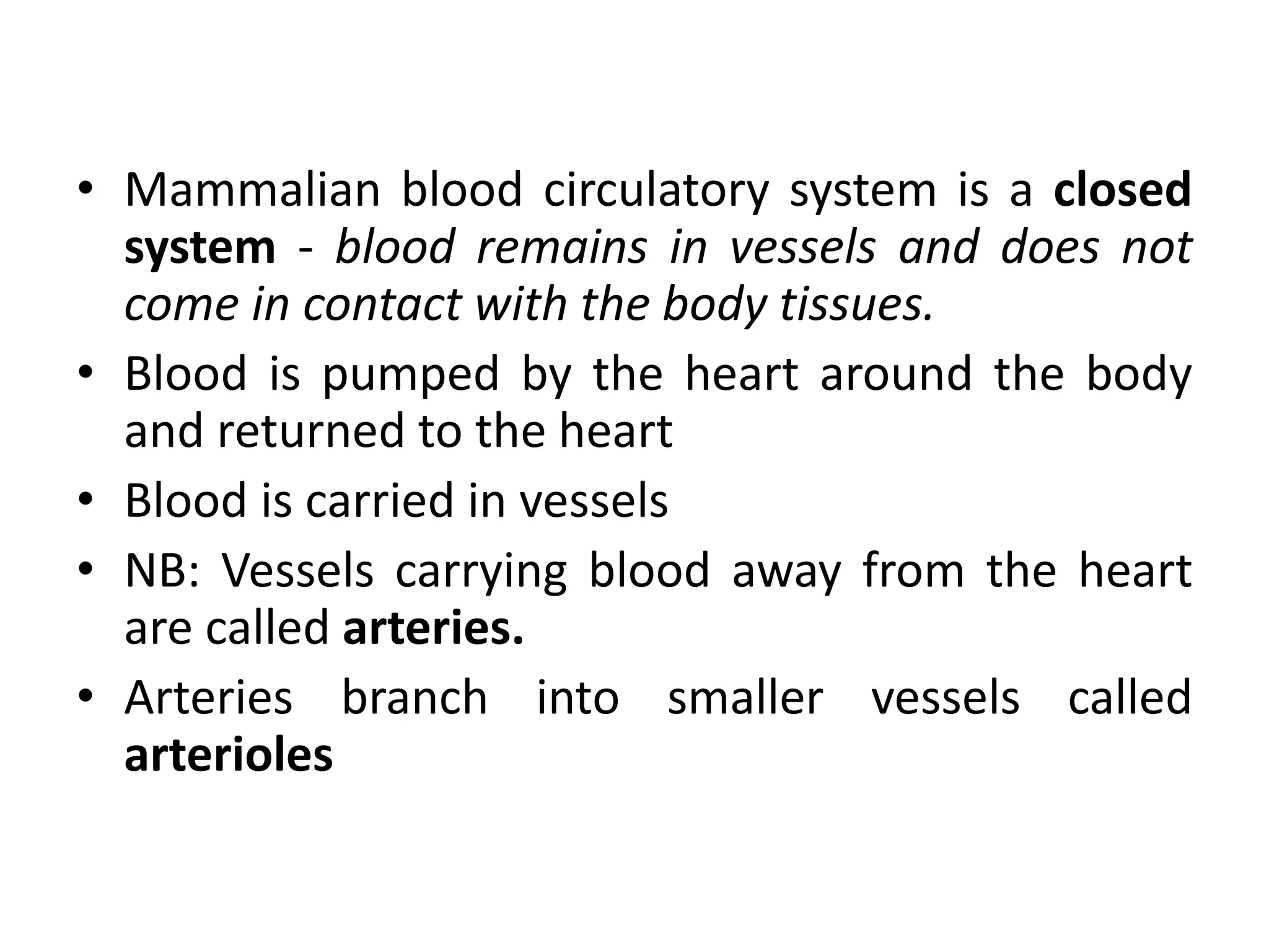 THE HEART - TRANSPORT SYSTEM IN MAMMALS (HUMANS).pdf