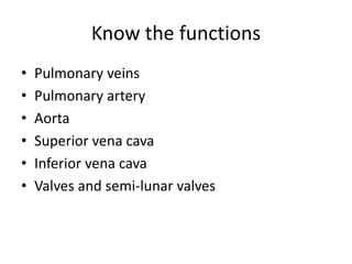 THE HEART - TRANSPORT SYSTEM IN MAMMALS (HUMANS).pdf
