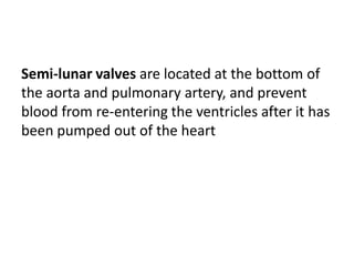 THE HEART - TRANSPORT SYSTEM IN MAMMALS (HUMANS).pdf
