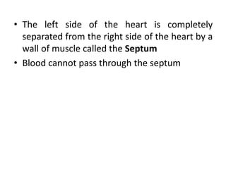 THE HEART - TRANSPORT SYSTEM IN MAMMALS (HUMANS).pdf