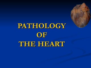 The Heart 1.ppt pathology of heart introduction | PPT