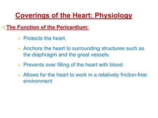 The_Heart__anatomy and physiology AHscience | PDF