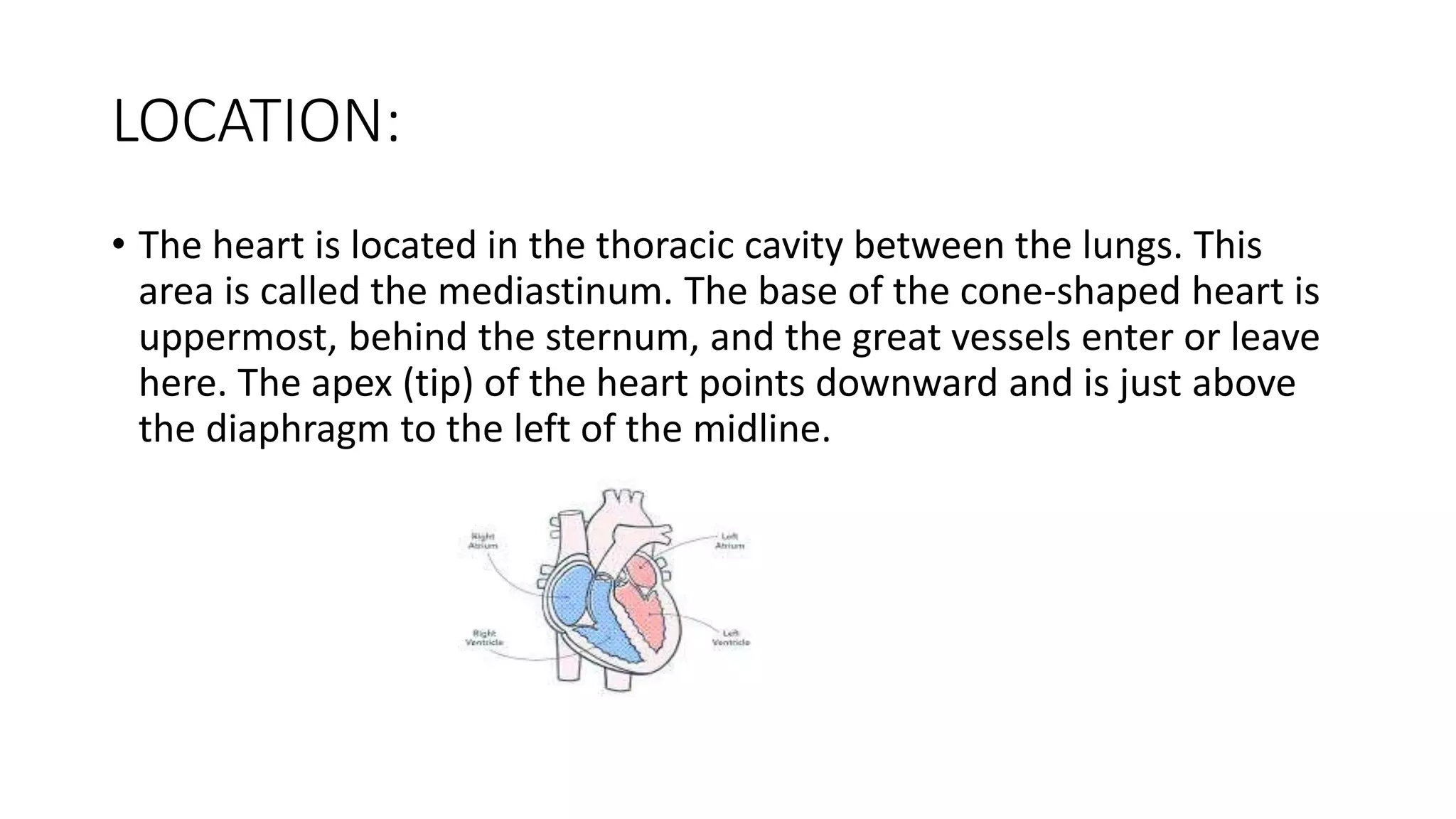 THE HEART AND BORDERS.pptx
