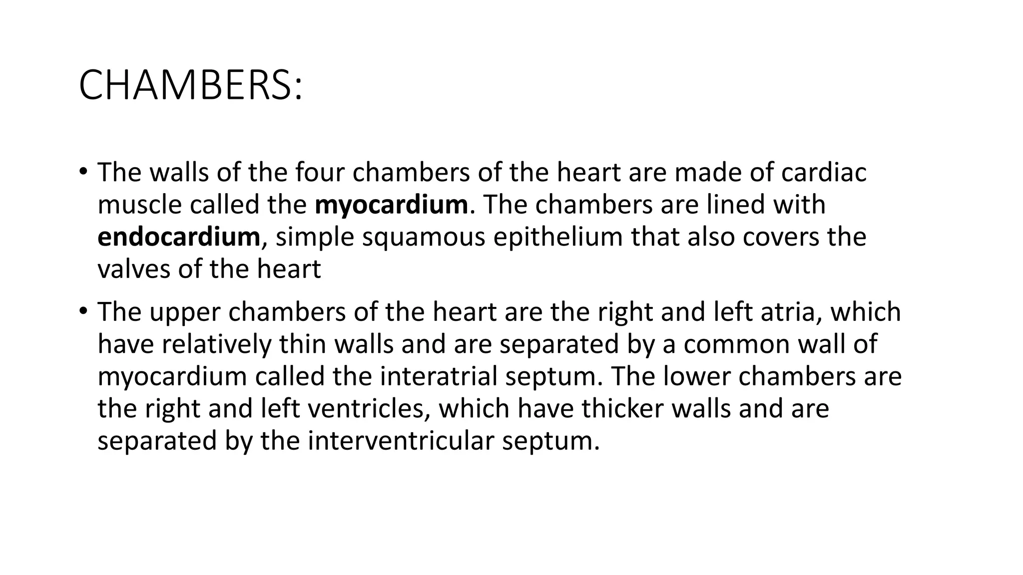 THE HEART AND BORDERS.pptx