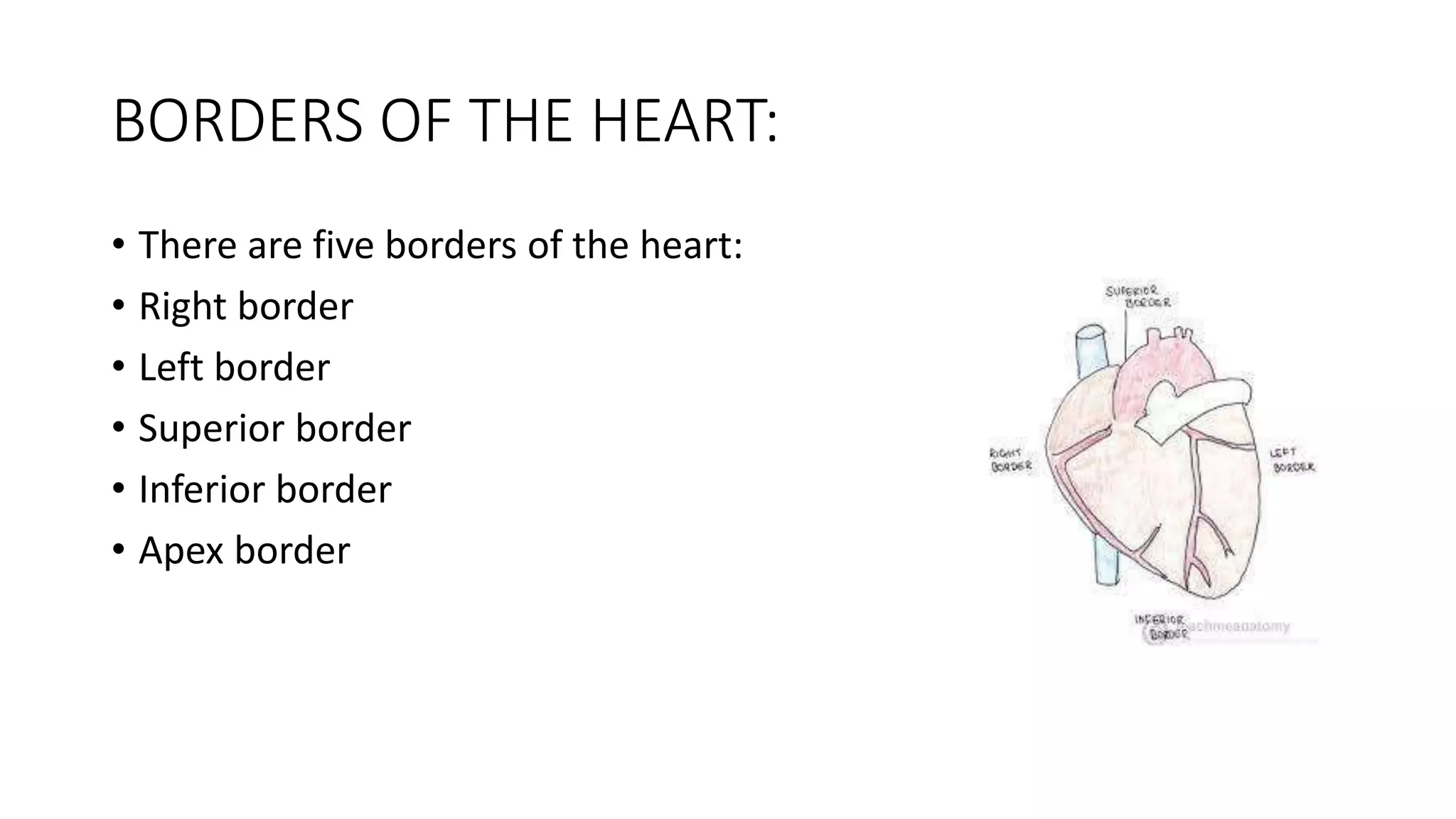 THE HEART AND BORDERS.pptx