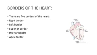 THE HEART AND BORDERS.pptx