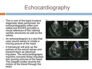 The heart and circulatory system | PPTX | Heart and Cardiovascular ...