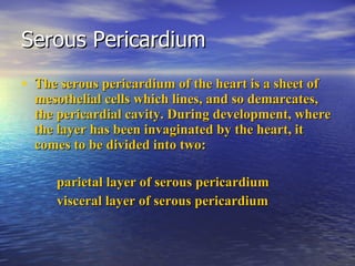 The Heart And Great Vessels | PPT