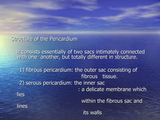 The Heart And Great Vessels | PPT