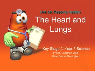 The heart and lungs | PPT
