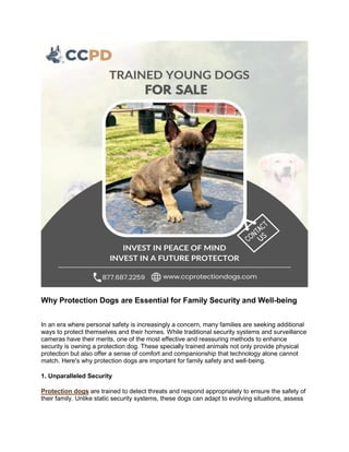 The Heart and Muscle of Home Security.pdf