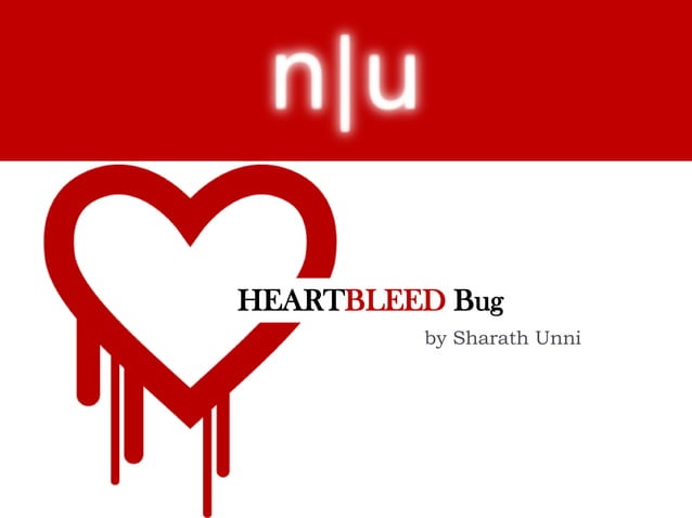 The Heartbleed Bug | PDF | Internet | Computing